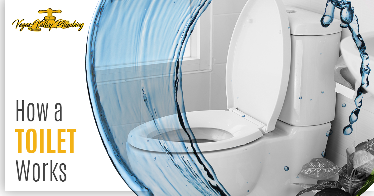 Plumbing Services Las Vegas: How a Toilet Works I Vegas Valley Plumbing